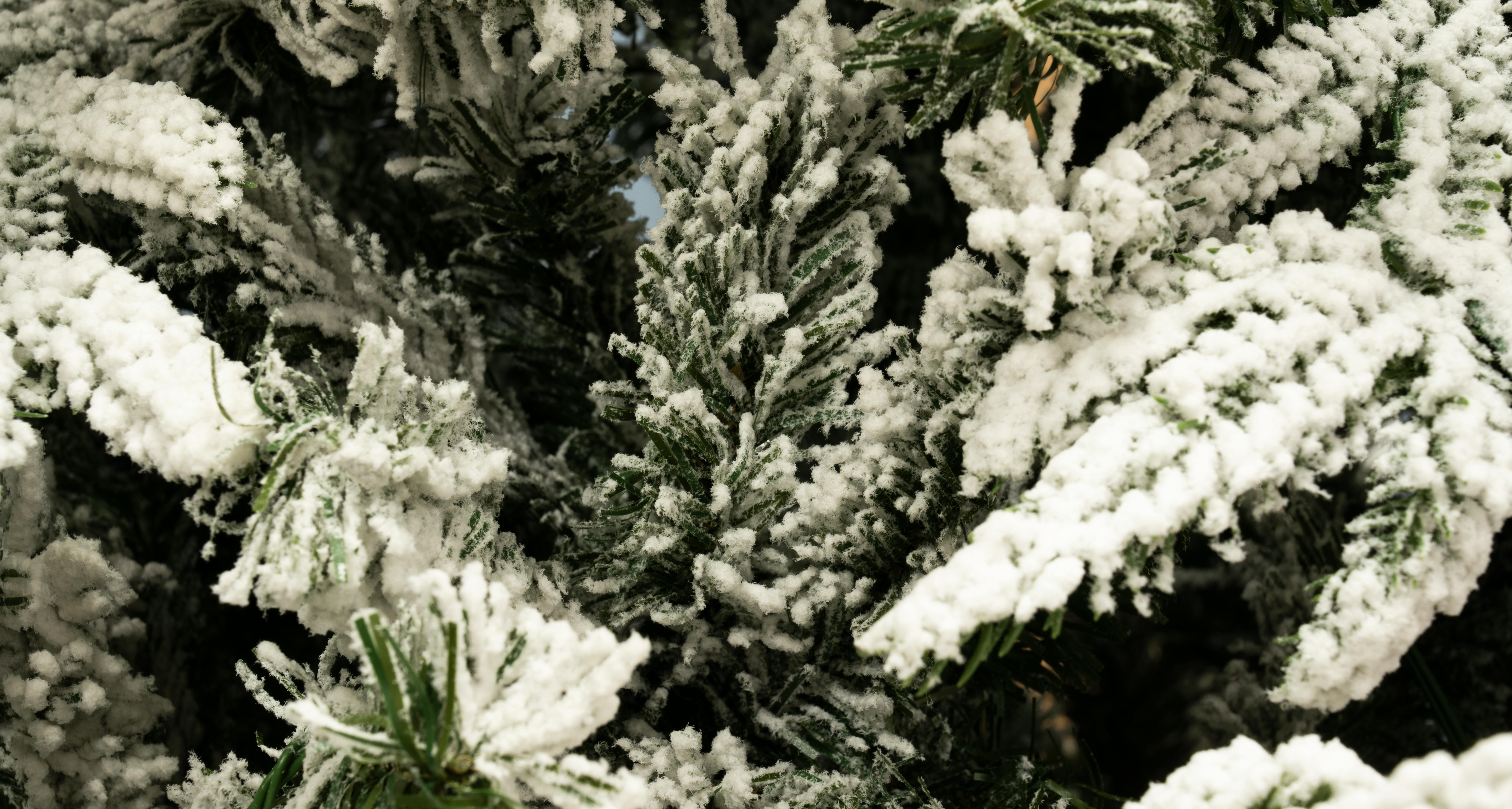 4ft Snowy Alpine Tree