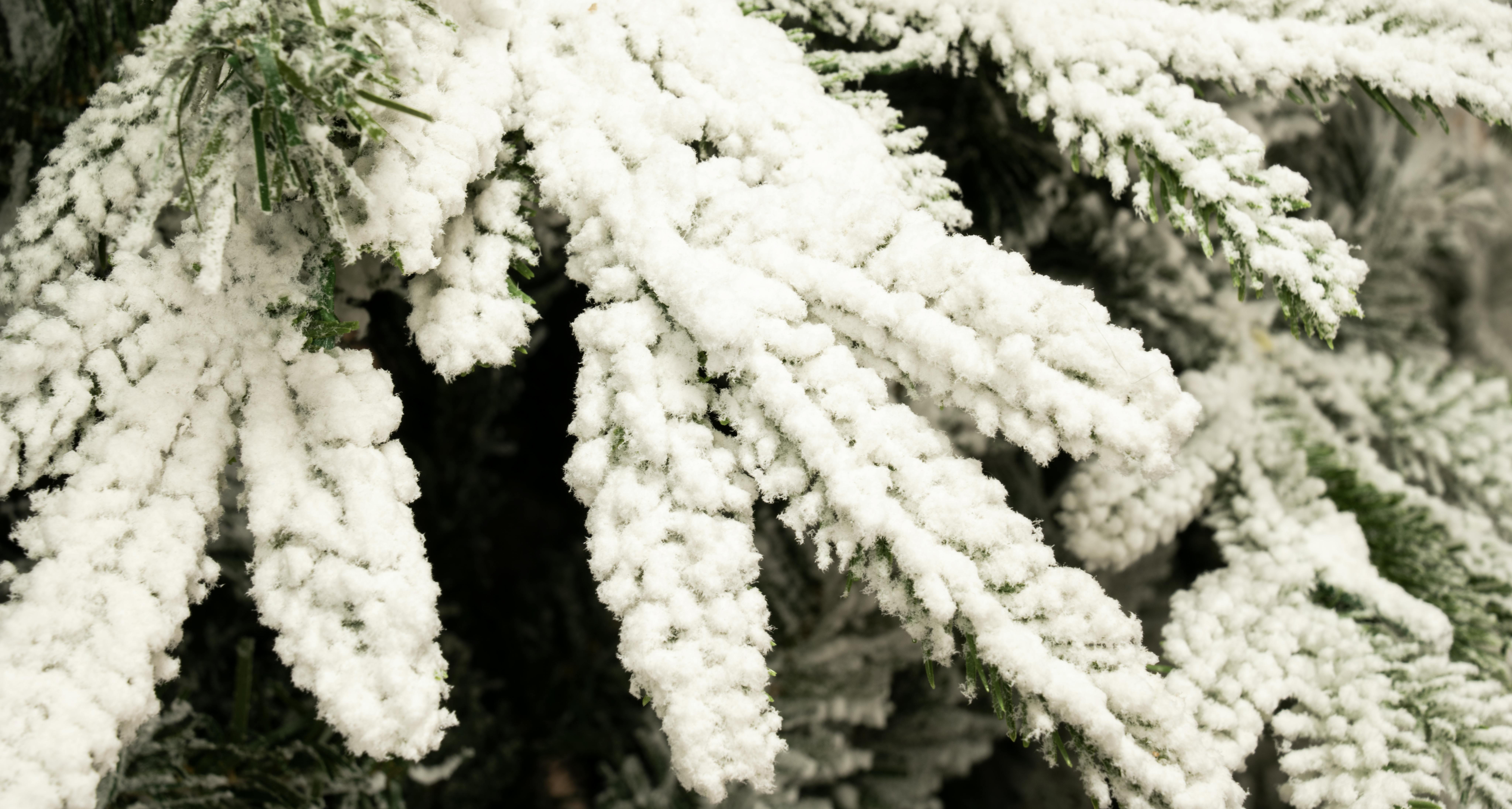 4ft Snowy Alpine Tree