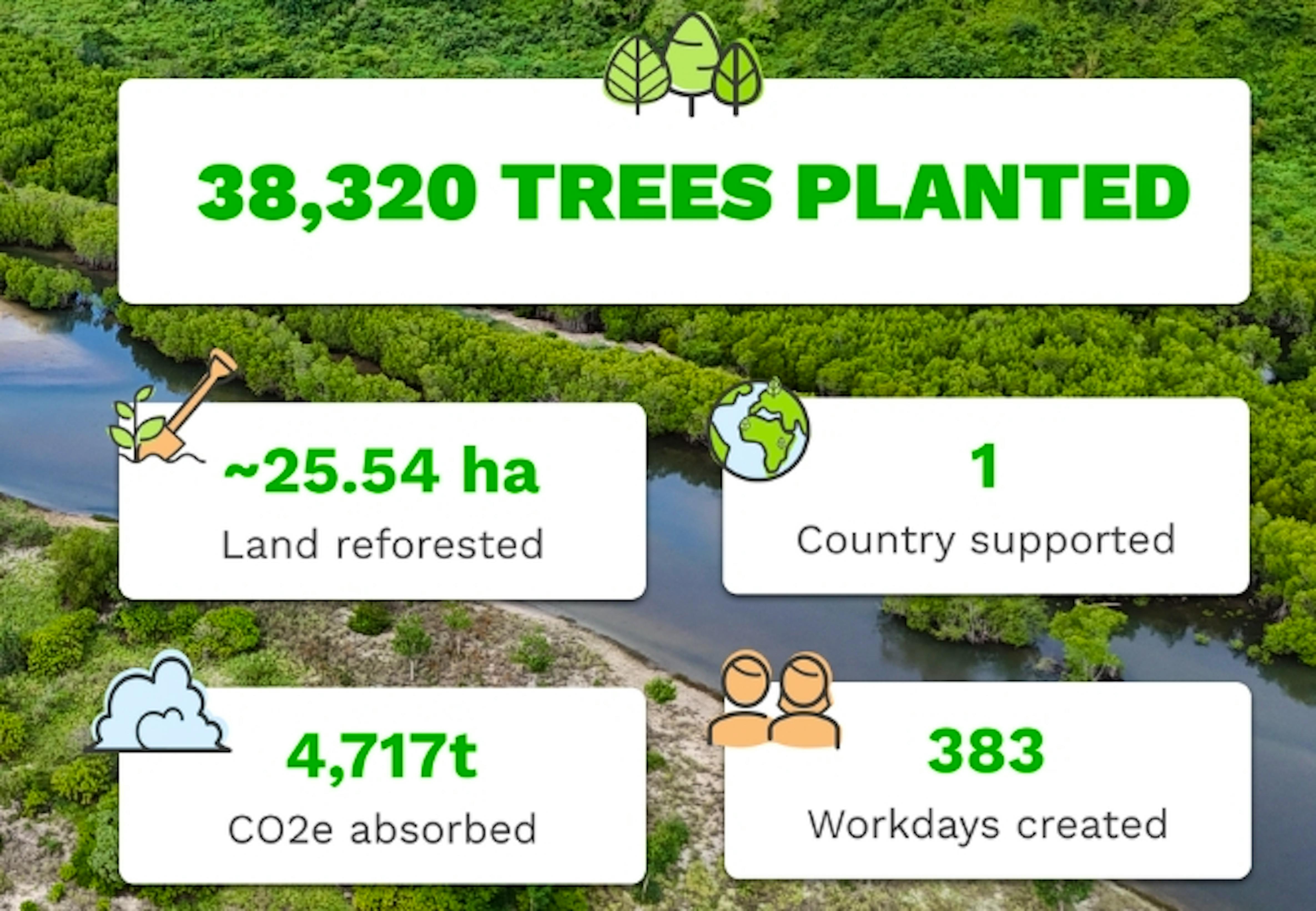 About Us | Christmas Tree World