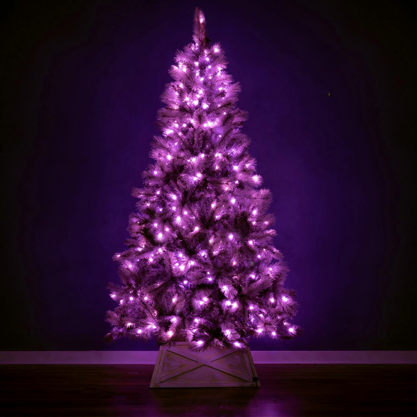 The UK's #1 Christmas Tree Shop | Christmas Tree World